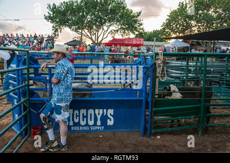 Rodeo clown bullfighter Texas USA Stock Photo - Alamy