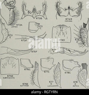 Chicago, Illinois: March 17, 1944 A group of secretaries who like to ...