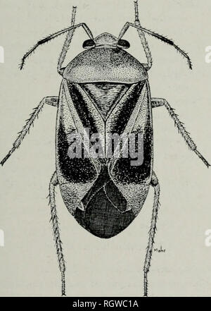 . Bulletin. Natural history; Natural history. September, 1941 Knight ...