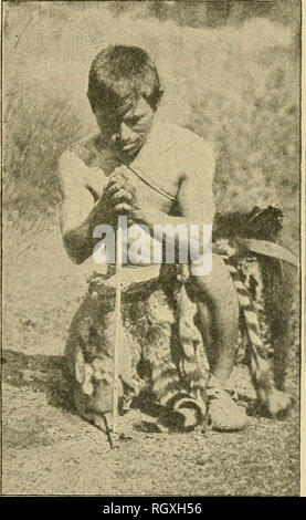 The Battle of Talladega Stock Photo - Alamy