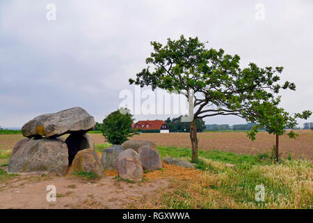 Neolithic grave, Megalithic stones in Germany Stock Photo - Alamy