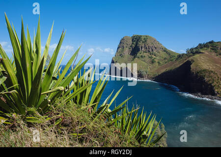 Kahakuloa Head (Pu'u Koa'e), Maui and the valley panoramic with the ...
