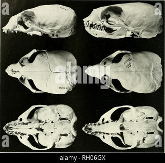 . Bulletin. Science. 162 SOUTHERN CALIFORNIA ACADEMY OF SCIENCES. Fig ...