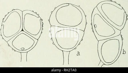 The scattered round orange rust on weathered steel surface Stock Photo ...