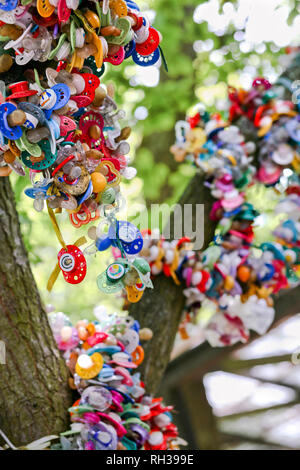 Pacifiers are hanging on the tree Stock Photo - Alamy