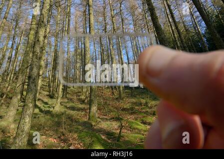Wedge prism relascope used to record the tree density of coniferous ...