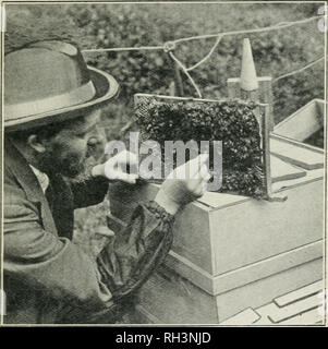 This illustration from the bee-keeper's guide depicts the anatomy of a ...