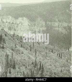 Stikine river in Spatsizi Plateau Wilderness Provincial Park, BC ...