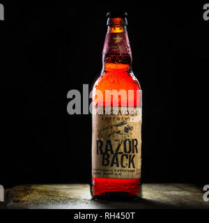 Ringwood Brewery beer Stock Photo - Alamy