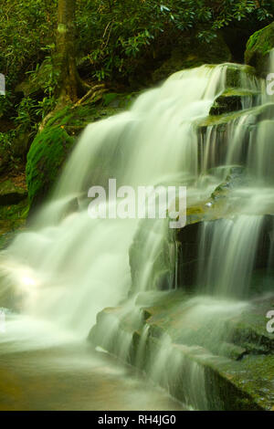 ELAKALA WATERFALLS BLACKWATER FALLS STATE PARK WEST VIRGINIA USA Stock ...