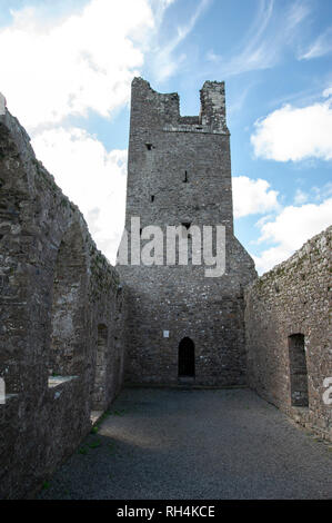 Skryne Church ruin, Meath, Ireland Stock Photo - Alamy
