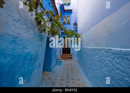 Beautiful view of white color medina o the Tetouan city, Morocco in ...