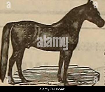 Dr. John W. Budd Stock Photo - Alamy