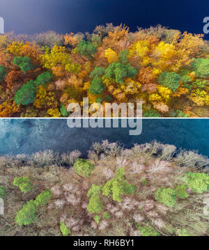 Treplin, Germany. 31st Jan, 2019. ILLUSTRATION: Forest on the shore of ...