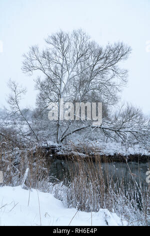 Chippenham, Wiltshire, UK. 1st February, 2019. A child is pictured as ...