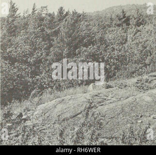 . Breeding birds of Ontario : nidiology and distribution. Birds; Birds ...