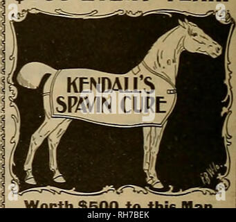 . Breeder and sportsman. Horses. BONE SPAVIN, BOQ SPAVIN, THOROUGHPIN ...