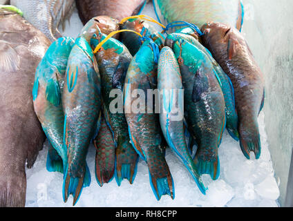 Fish Market In Jeddah, Saudi Arabia Stock Photo: 51055804 - Alamy