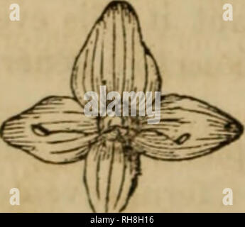 Botany of the Southern states . of the corolla called? When called ...