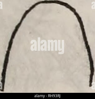 Botany of the southern states (Page 83) BHL40803003 Stock Photo - Alamy