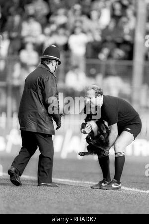 KEN REDFERN , DOG, REFEREE, , 1986 Stock Photo - Alamy