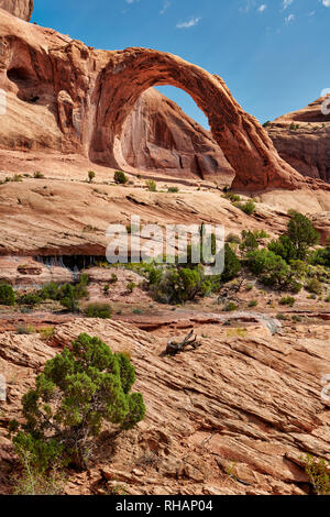 Corona Arch, Moab, Utah, USA Stock Photo - Alamy