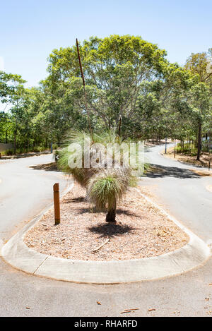 Residential streetscape with many trees Stock Photo - Alamy