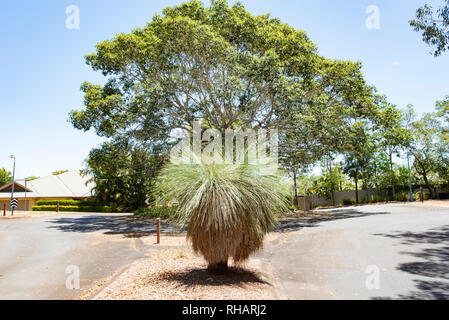 Residential streetscape with many trees Stock Photo - Alamy