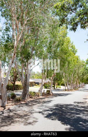 Residential streetscape with many trees Stock Photo - Alamy