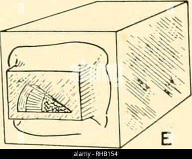 . Botanical microtechnique. Botany -- Anatomy; Botany -- Morphology ...
