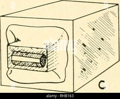 . Botanical microtechnique. Botany -- Anatomy; Botany -- Morphology ...