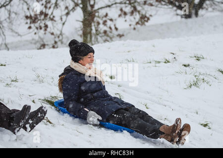 Basingstoke, Hampshire, UK. 01st Feb, 2019. Husky on a walk in the snow ...