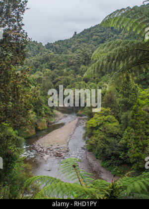 New Zealand, Te Urewera National Park - December 29 2020: the view of ...