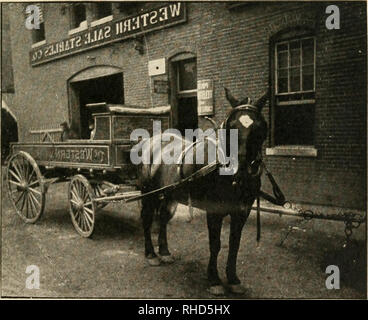 Servin, Louis Stock Photo - Alamy