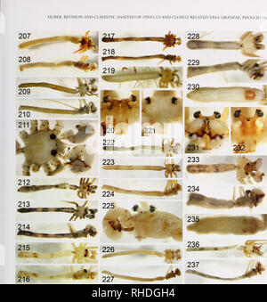 . Bonner zoologische Monographien. Zoology. 217. Mantoida - The ...