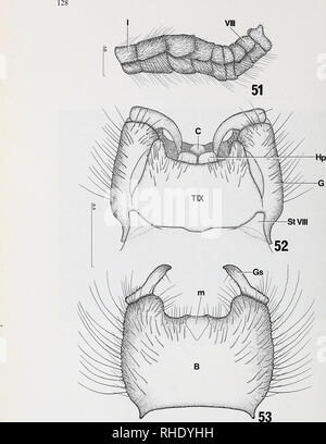 . Bonner zoologische Monographien. Zoology. 51. Phocidae ...