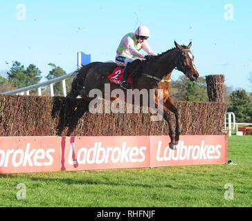 Min ridden by Ruby Walsh goes on to the Ladbrokes Dublin Steeplechase ...