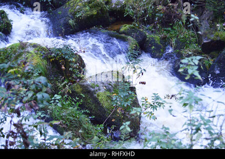 Steady stream with flowing water Stock Photo - Alamy