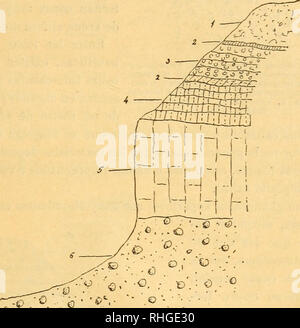 Plano del terreno en que se hallan situados los vestigios de los ...