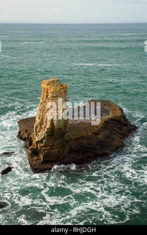 Coast Trail view, Point Arena-Stornetta Unit, California Coastal ...