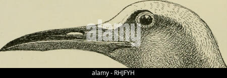 North Pacific Ocean, Loo Choo Archipelago-- Ou-sima, Hancock Bay : from ...