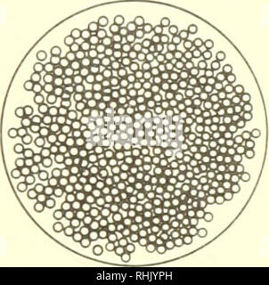 . Biophysical science. Biophysics. (a) (b) Figure 2. Green grana of ...