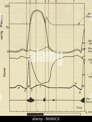 . Biophysical science. Biophysics. 5 : 2/ Electrical Potentials of the ...