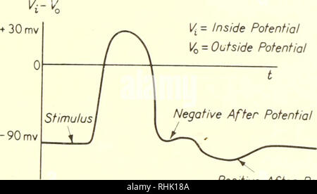 Pulses on oscilloscope screen Stock Photo - Alamy