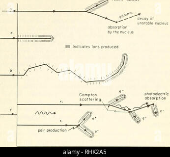 . Biophysics: concepts and mechanisms. Biophysics. IONIZATION AND ...