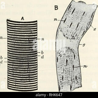 . The biology of the frog. Frogs. HISTOLOGY OF THE FROG 129 cells. The ...