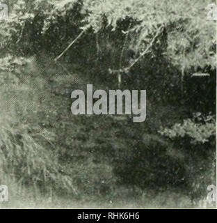 Dicks Creek Falls Stock Photo - Alamy