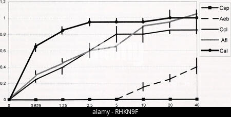 (Clockwise from Bottom left) The four-year-old Durst quadruplets, Calli ...