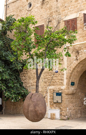 Orangenbaum orange tree Stock Photo - Alamy