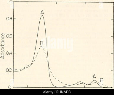 Absorption spectrum of chlorophyll a and b Stock Photo - Alamy